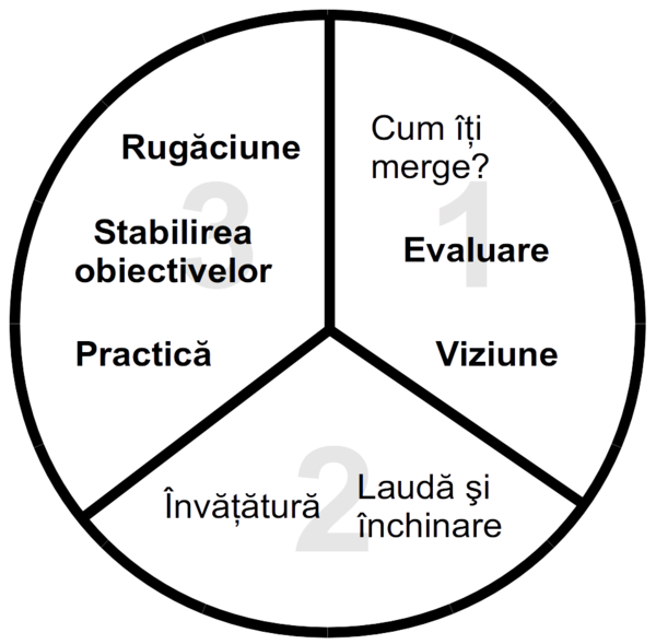 Procesul-în trei Părți - 4training